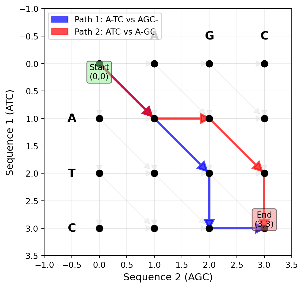 27 Pairwise Alignment – Bioinformatics and Programming